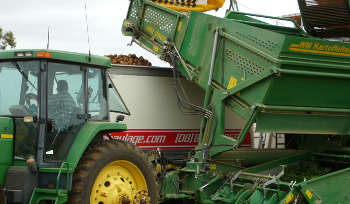 Agrizone - Potato Machinery - Adelaide Australia